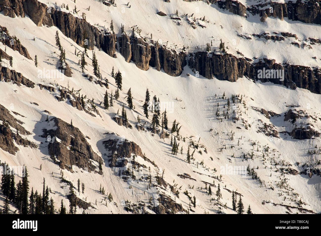 Centennial Mountains, Red Rock Lakes National Wildlife Refuge, Montana ...