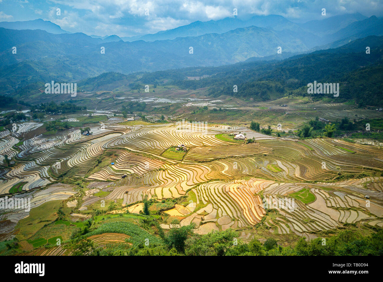 View of rice terraces in Y Ty, Lao Cai, Vietnam Stock Photo - Alamy