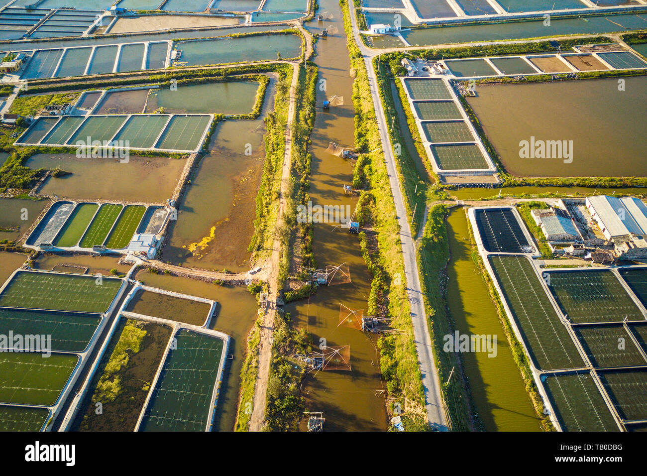 Aerial view of beach in Giao Thuy where there are lots of shrimp farms ...