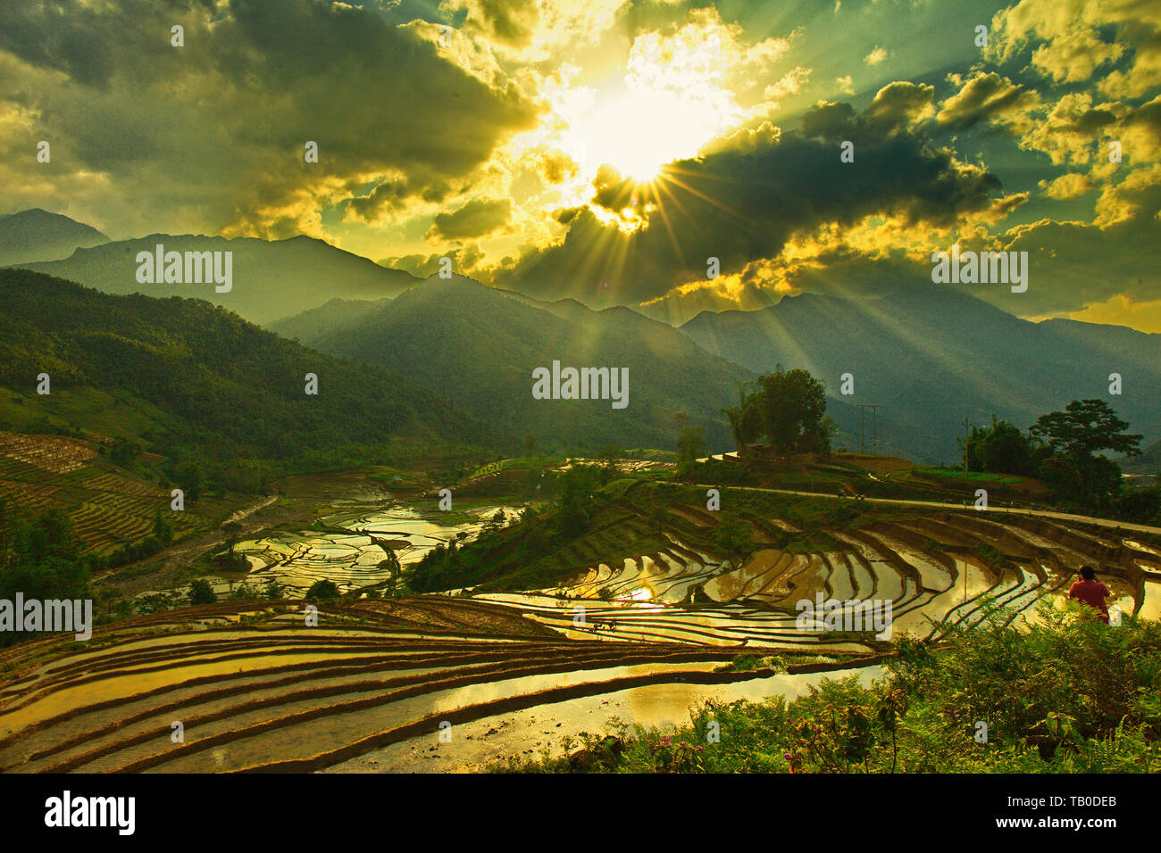 Sun rays over rice terraces Stock Photo - Alamy