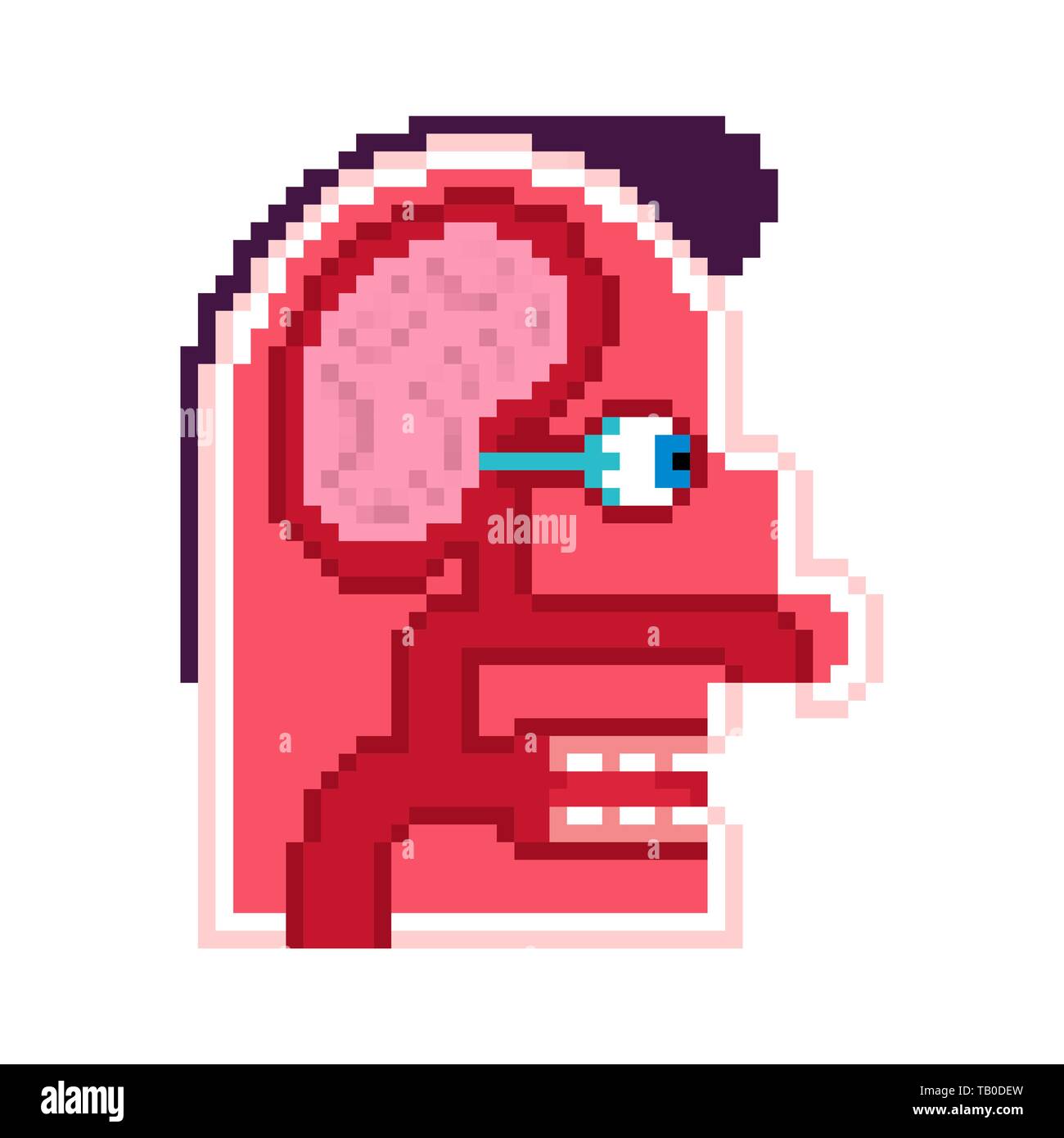 Anatomy Head pixel art. cartoon Internal scheme 8 bit. Brain and eye ...
