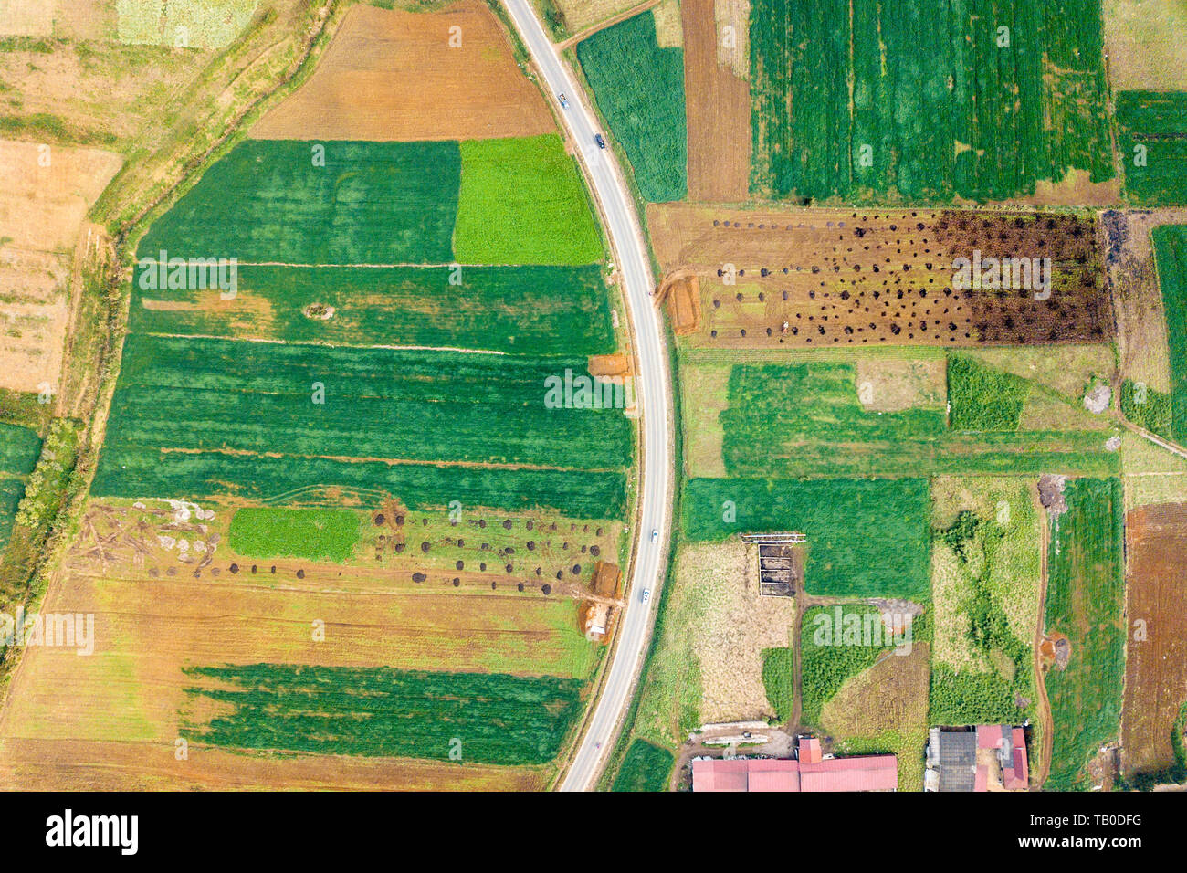 Moc chau farm hi-res stock photography and images - Alamy