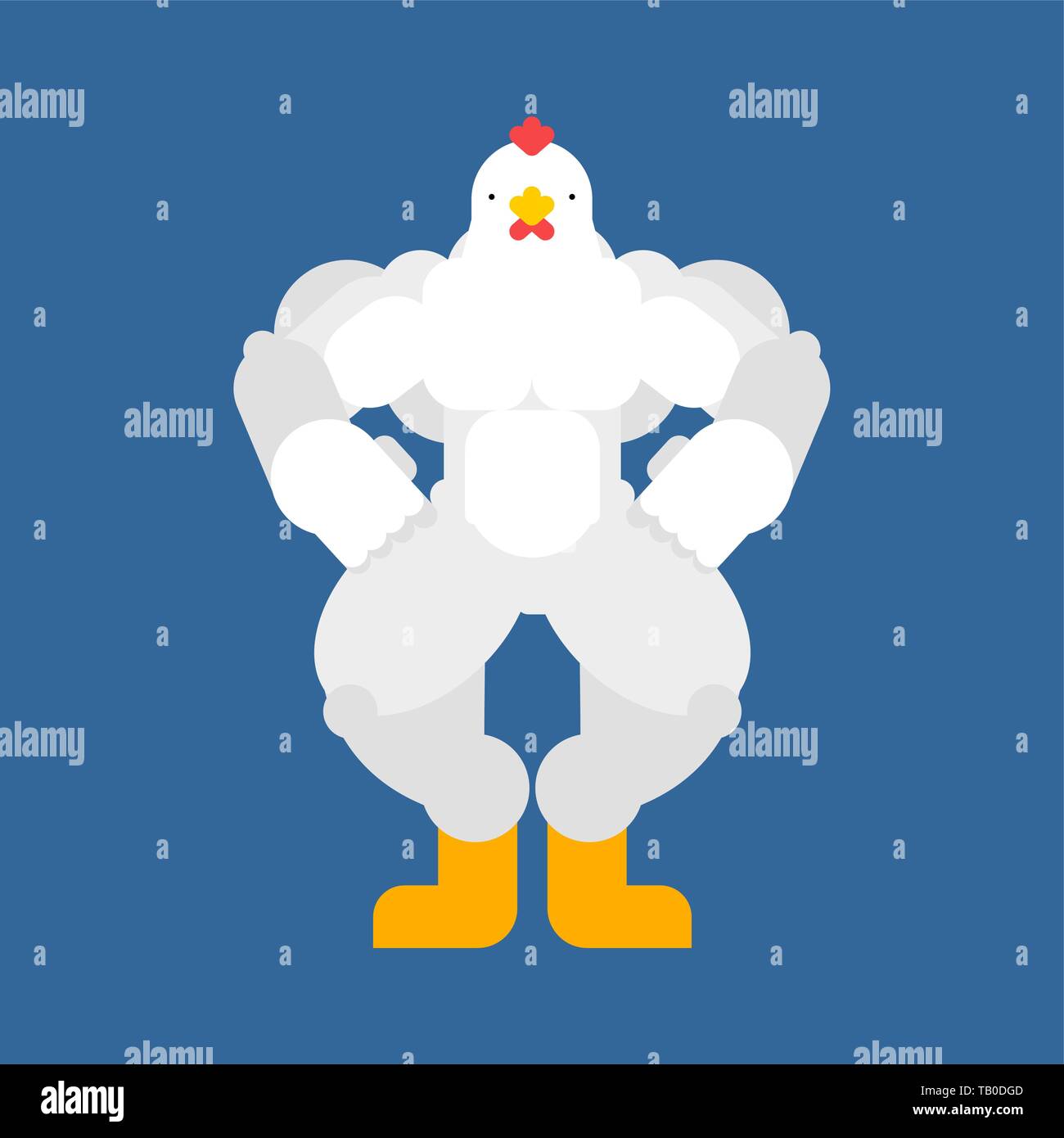 Strong chicken. Powerful hen. rooster bodybuilder. hard Farm bird Stock ...