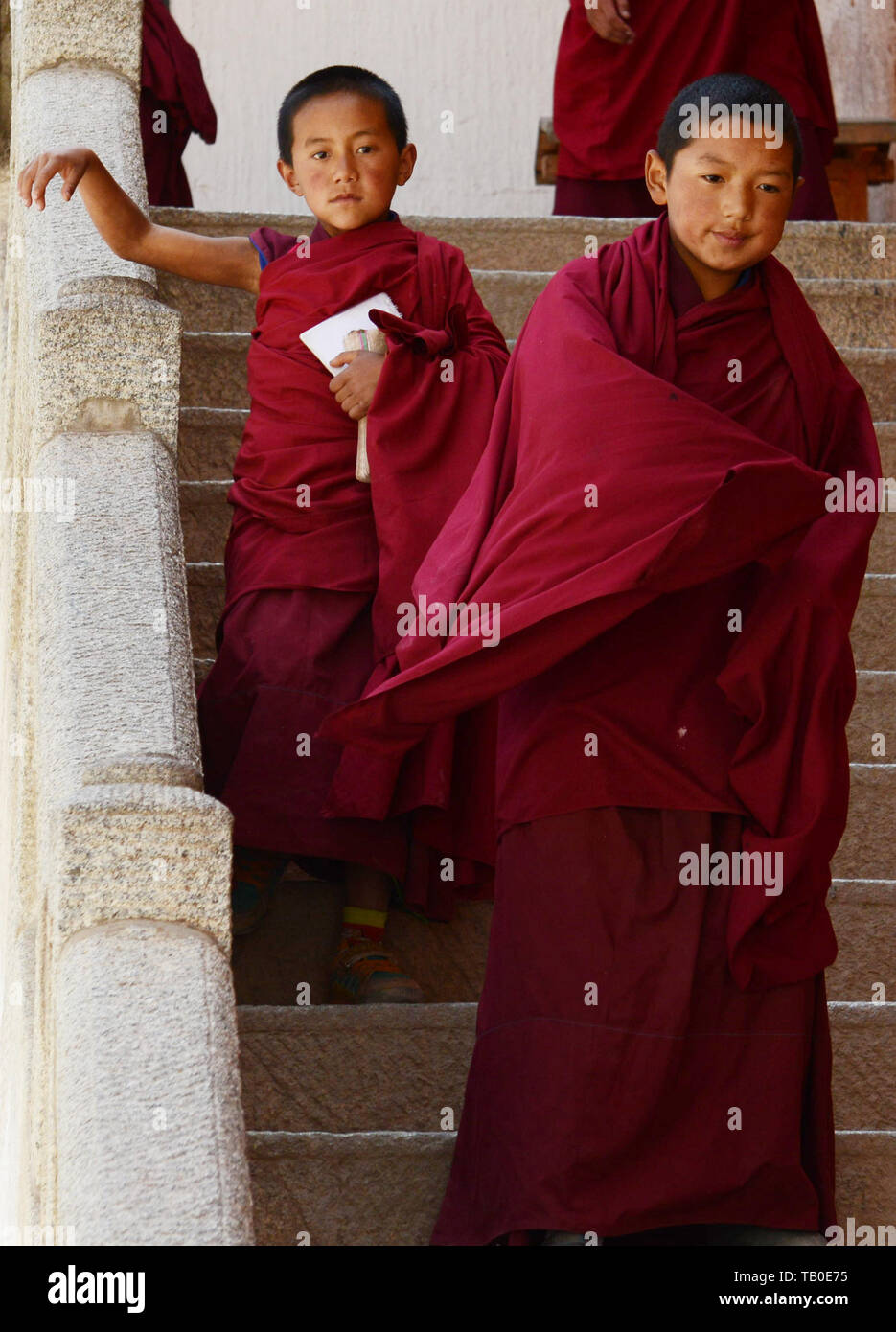 Tibetan monks at a ceremony in Labrang monastery Stock Photo - Alamy