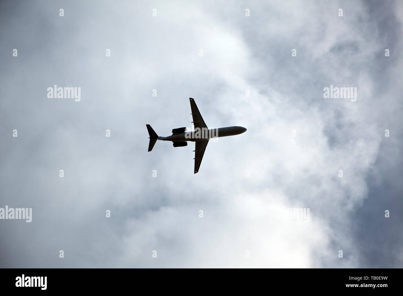 Birds eye view of trees hi-res stock photography and images - Alamy