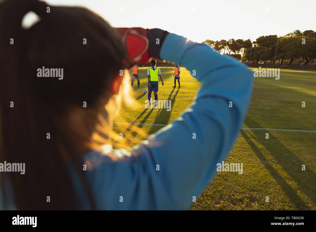 Goalkeeper in position to defend football Stock Photo - Alamy