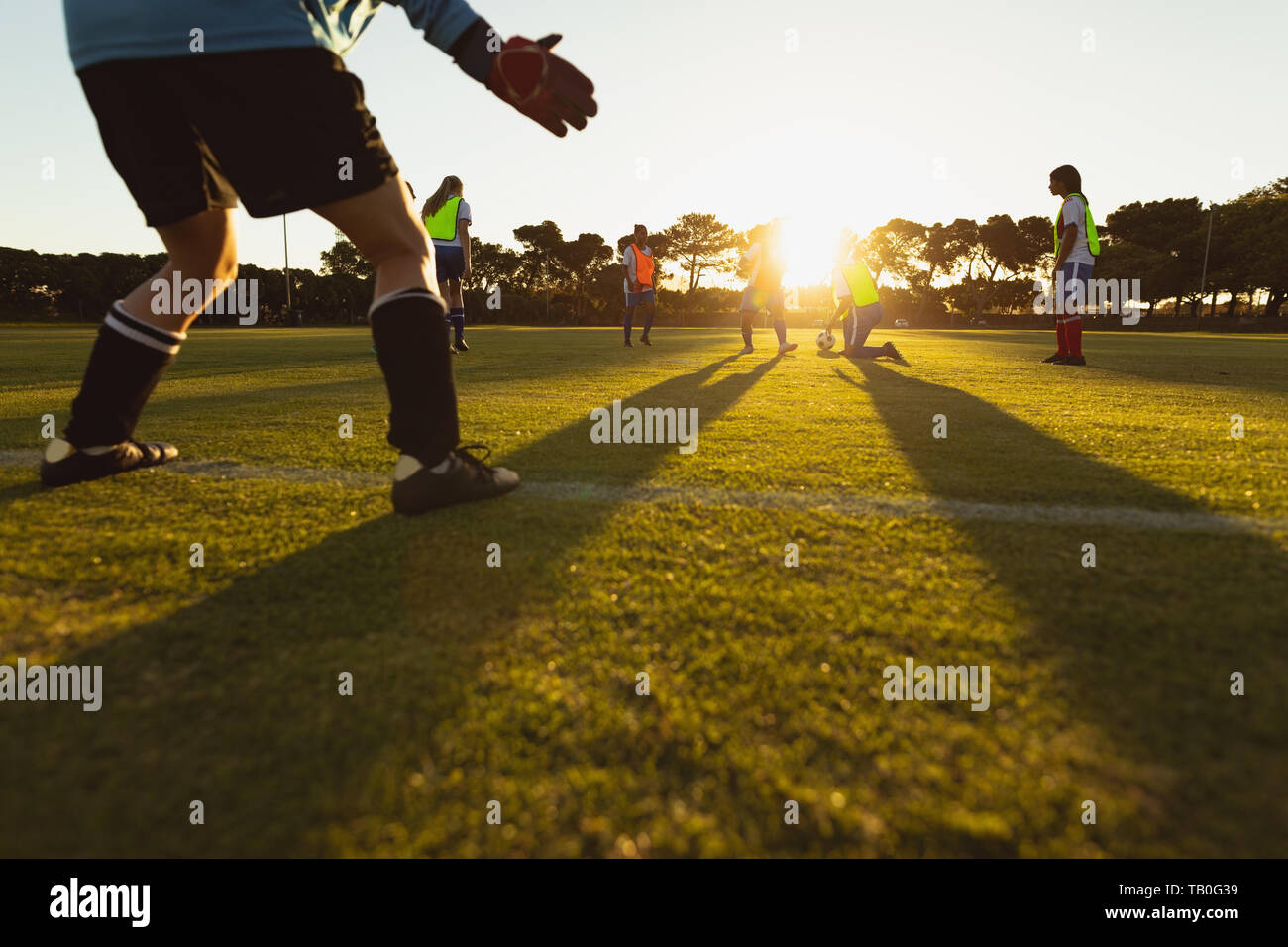 Goalkeeper defending goal Stock Photo - Alamy