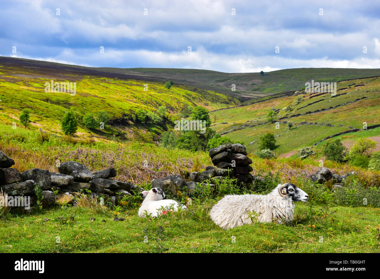 Bronte countryside hi-res stock photography and images - Alamy