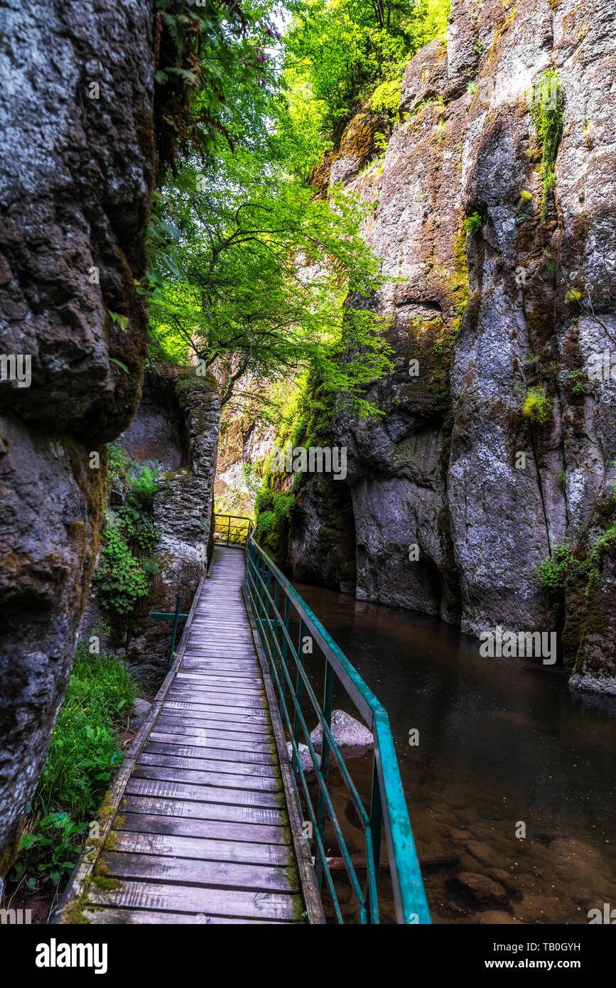 River valley canyon with wooden path on the rocks Stock Photo - Alamy