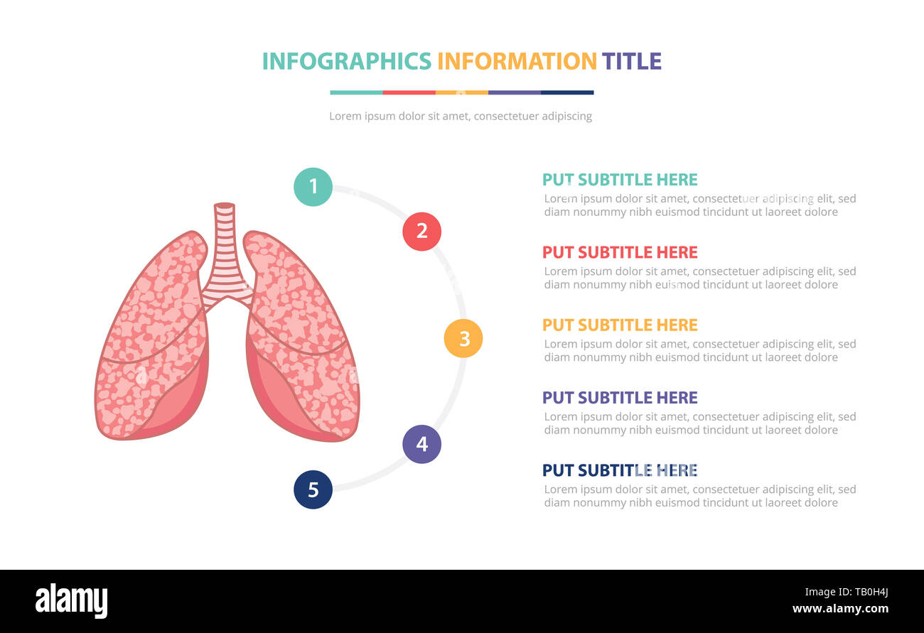 human lungs anatomy infographic template concept with five points list ...