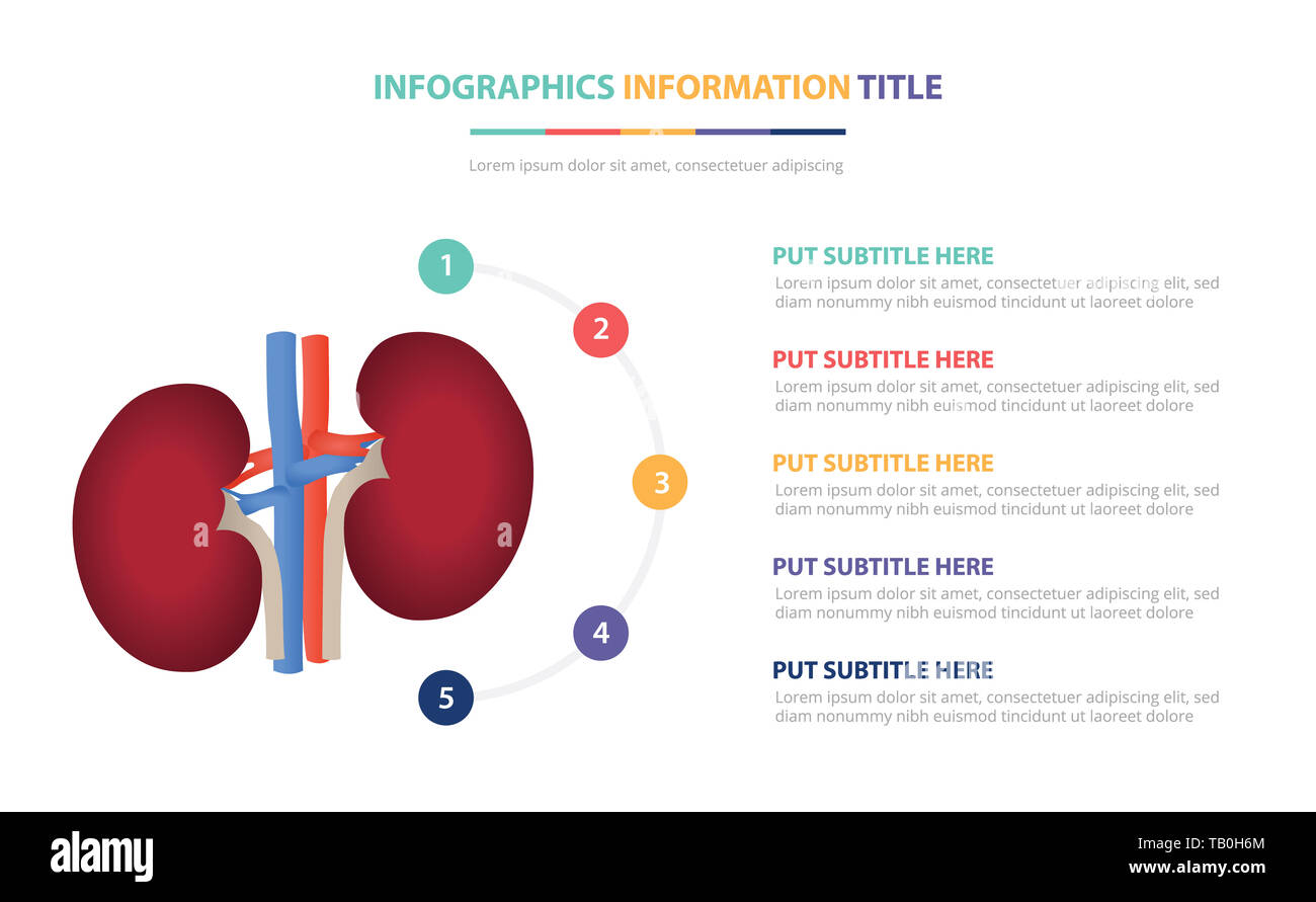 infographic template concept with five points list and various color ...