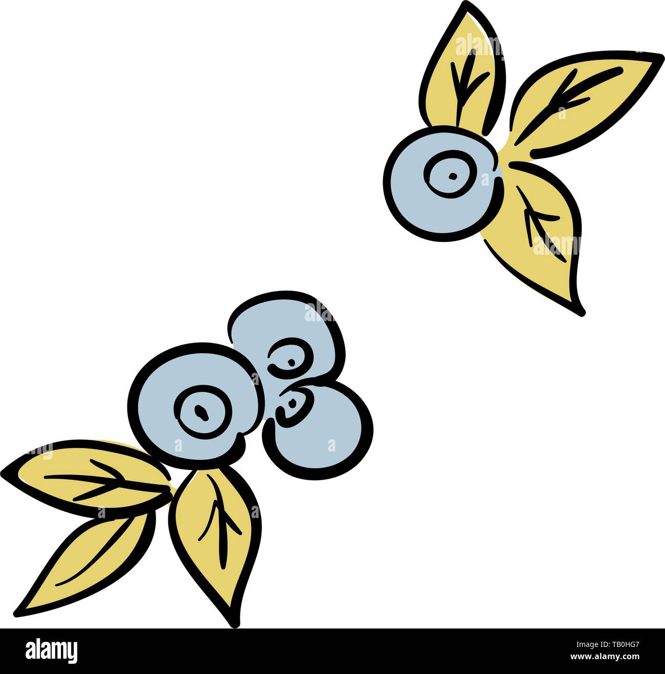 Whortleberry background Stock Vector Images - Alamy