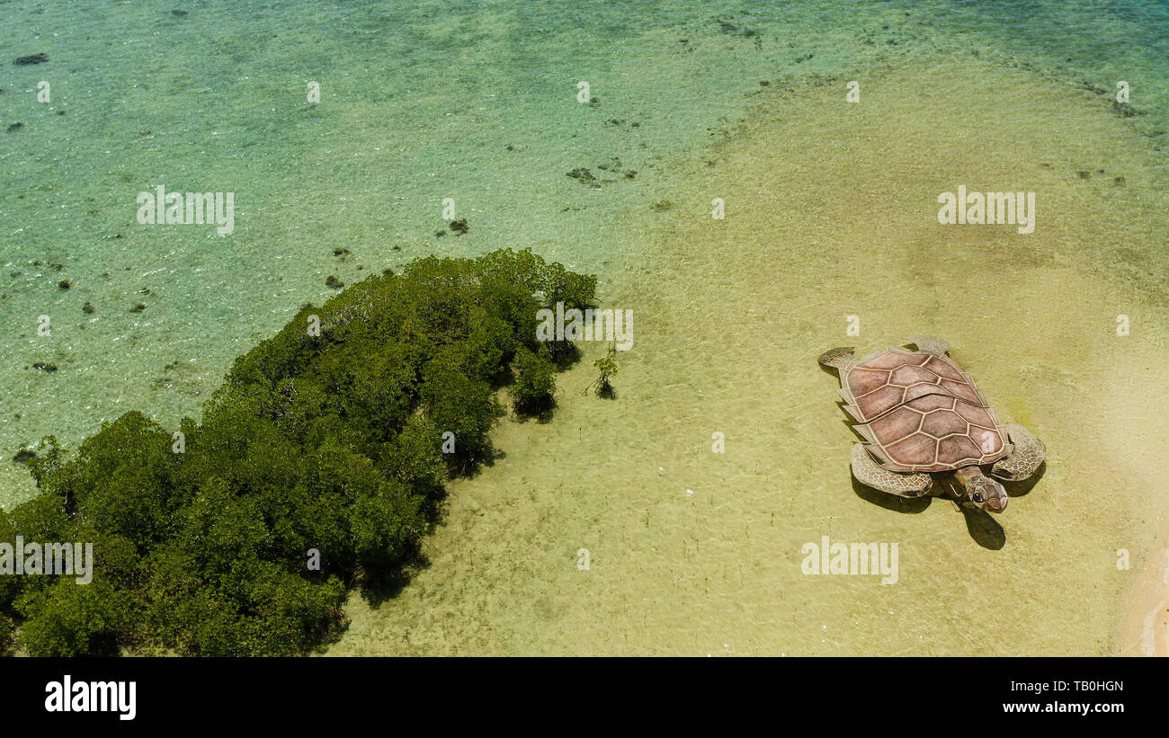Tropical island with sand bar surrounded by coral reef and blue sea in ...