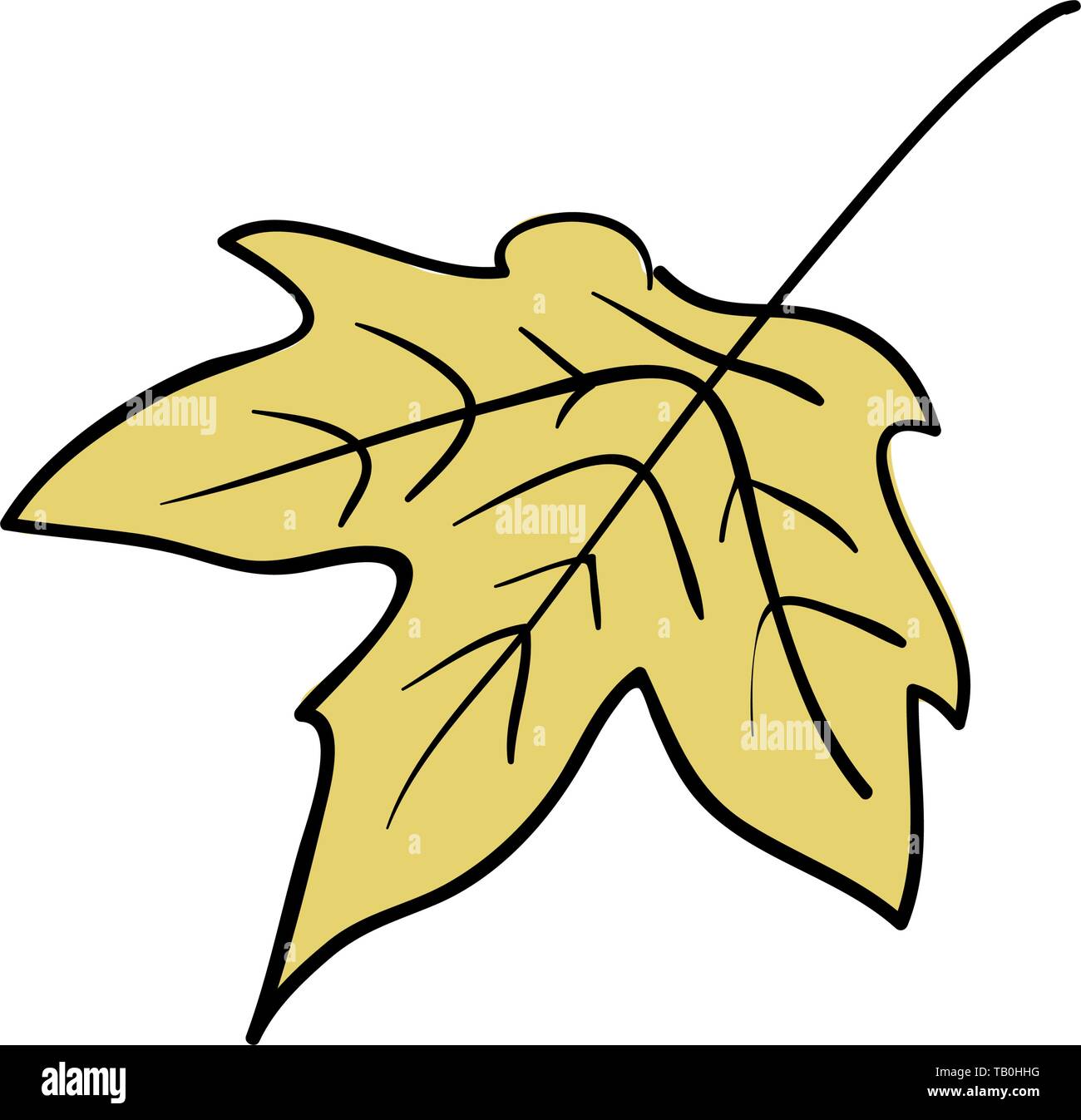 Puddle in park outdoor Stock Vector Images - Alamy