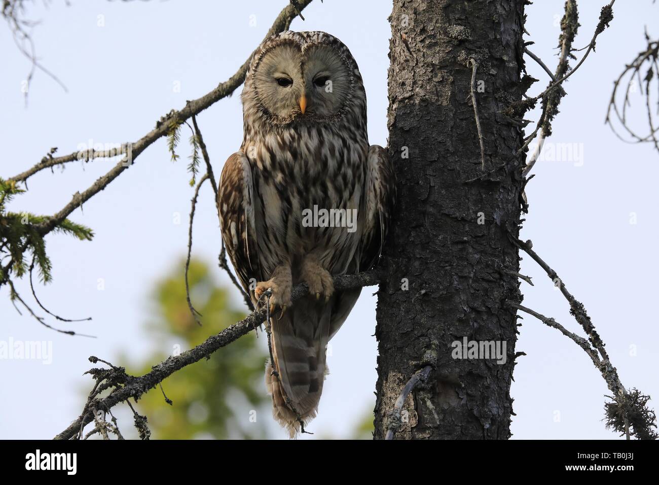 Oral landscape hi-res stock photography and images - Alamy