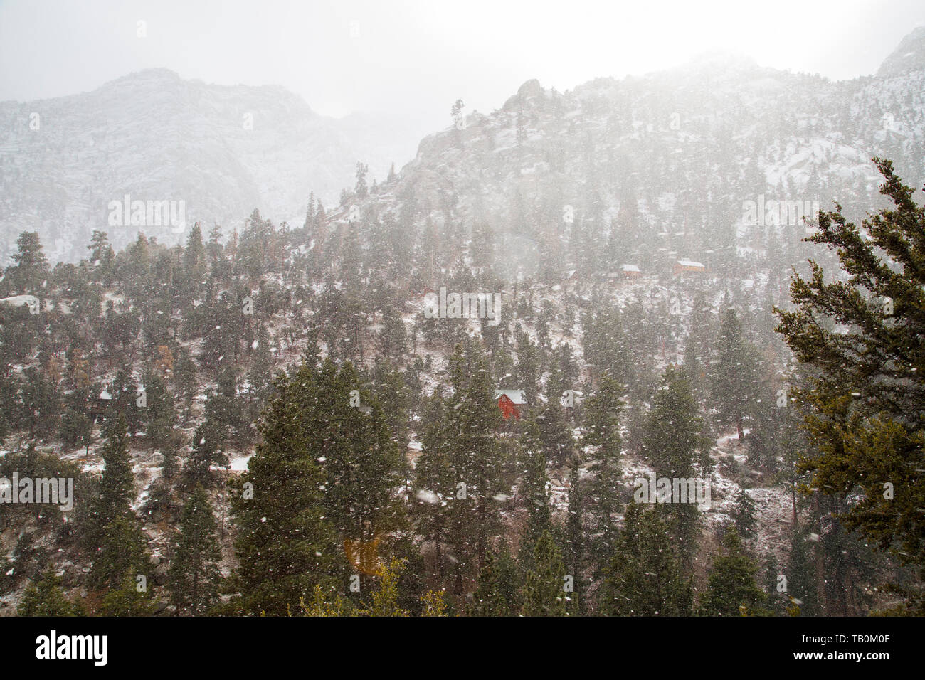 Small red cabin hi-res stock photography and images - Alamy