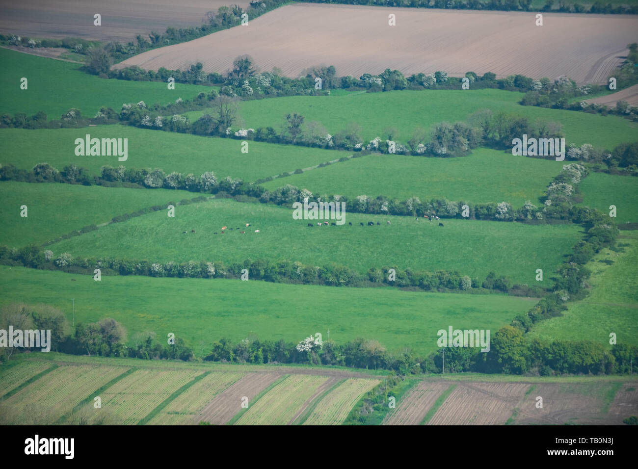 Dubin farms from plane hi-res stock photography and images - Alamy