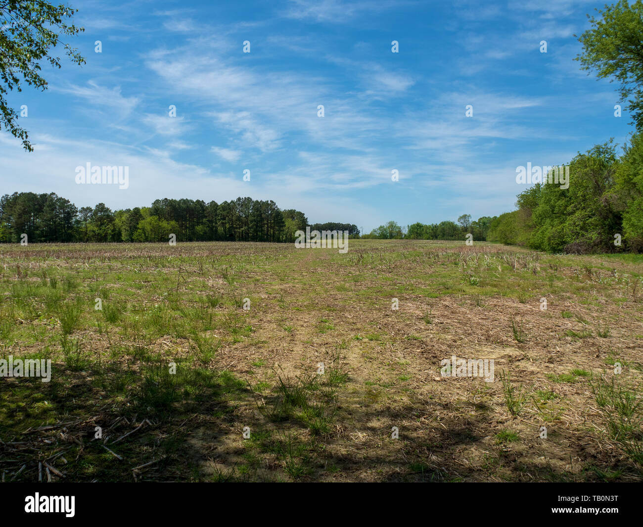 Agriculture land reserve hi-res stock photography and images - Alamy