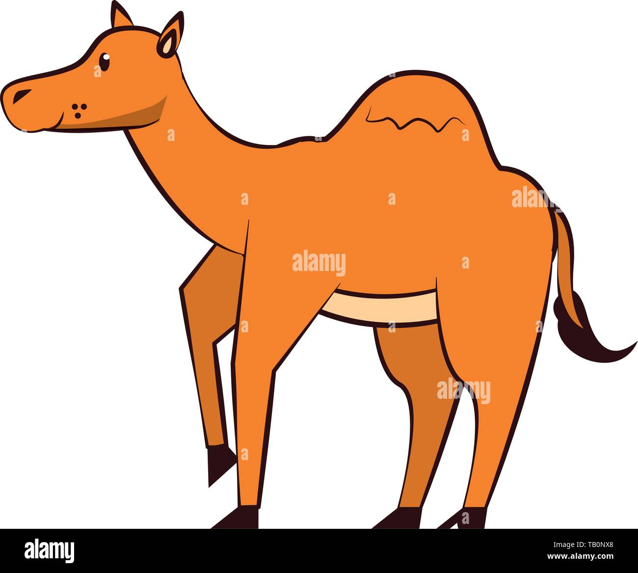camel wildlife cute animal cartoon Stock Vector Image & Art - Alamy