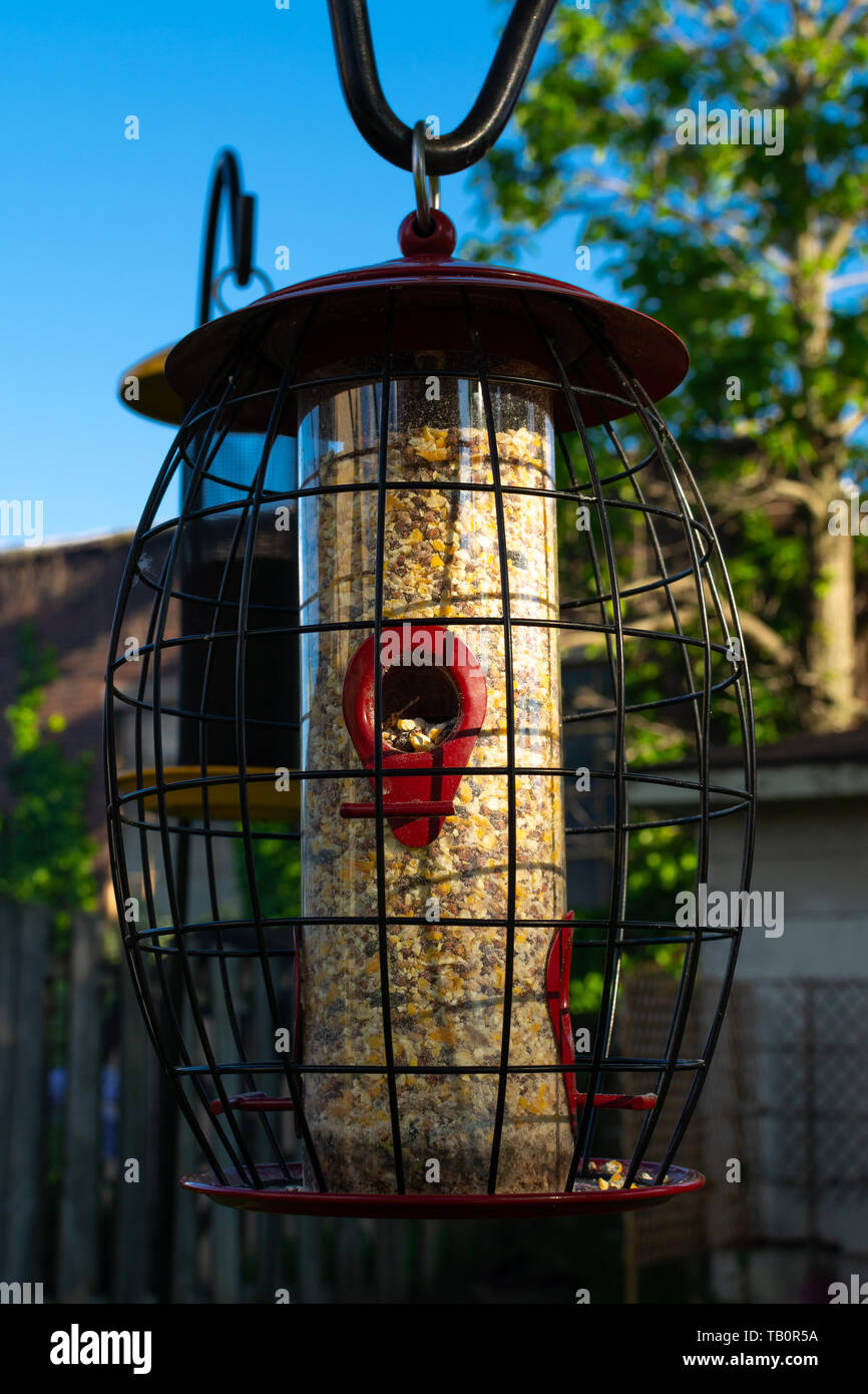 Empty Bird Feeders High Resolution Stock Photography and Images - Alamy