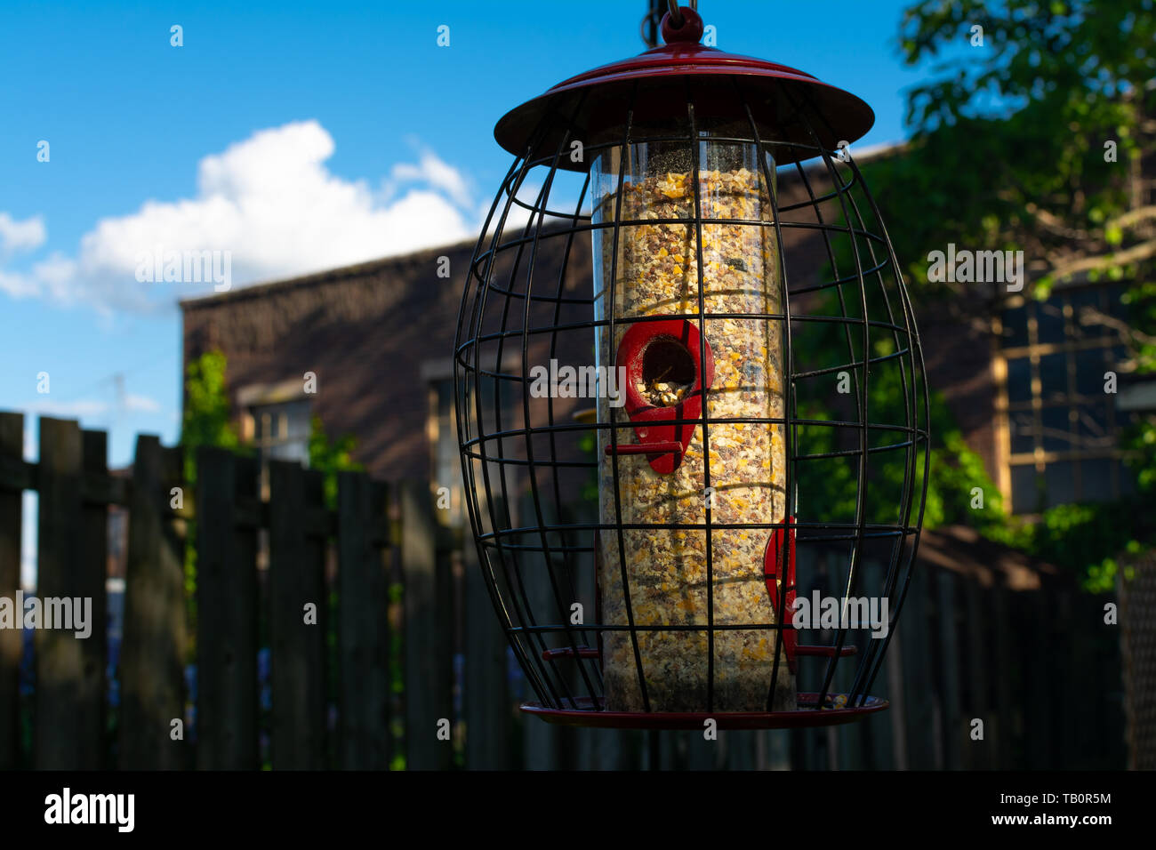 Empty bird feeders hi-res stock photography and images - Alamy