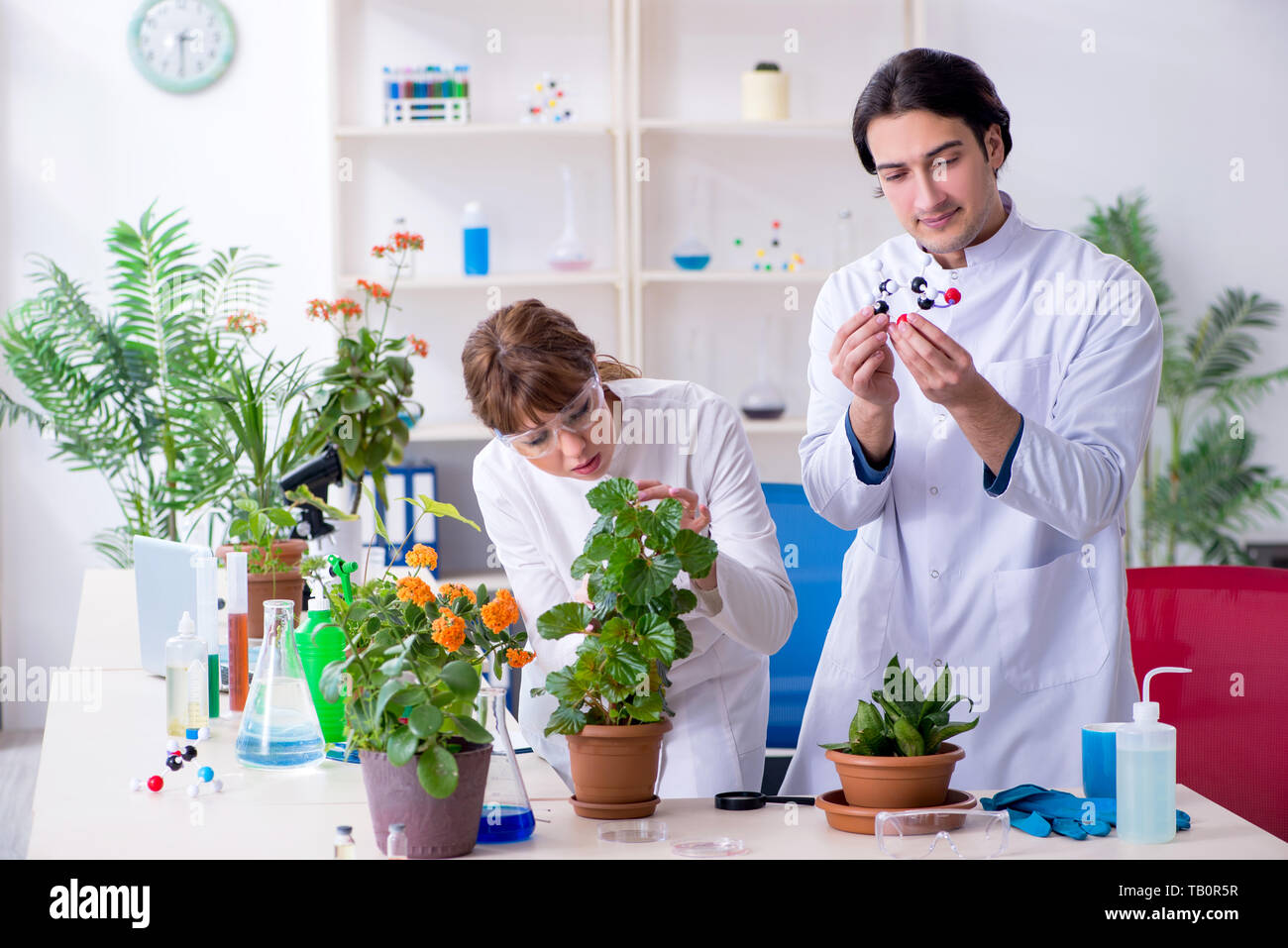Scientist doctor analyzing botanical plants hi-res stock photography ...