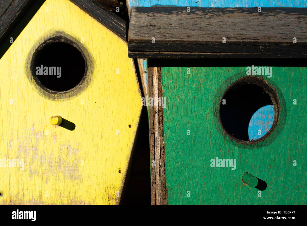Tree mounted bird box hi-res stock photography and images - Alamy