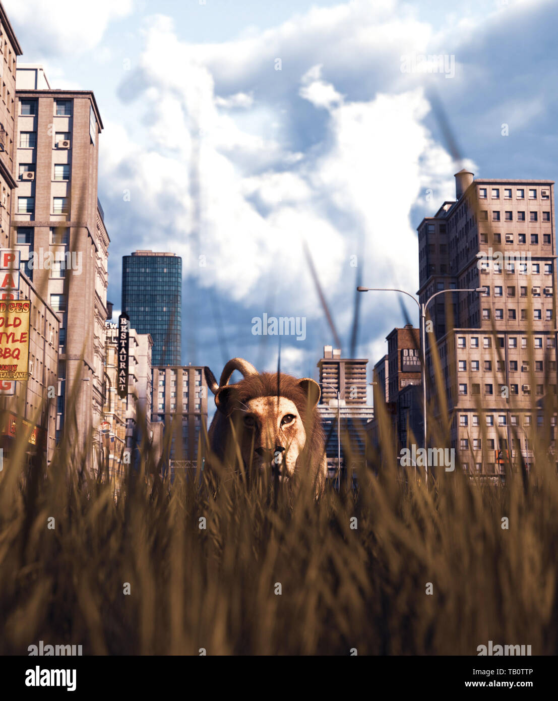 Lion walking in grass field in abandoned city,3d rendering Stock Photo ...