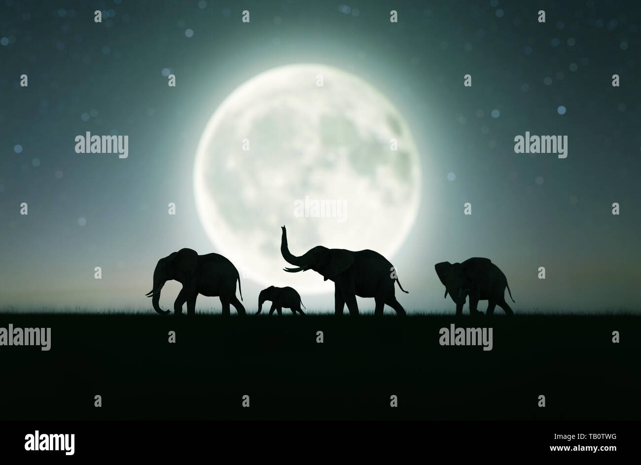 Walking under the moonlight hi-res stock photography and images - Alamy