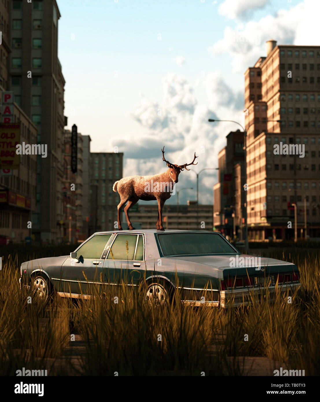 Deer car roof hi-res stock photography and images - Alamy
