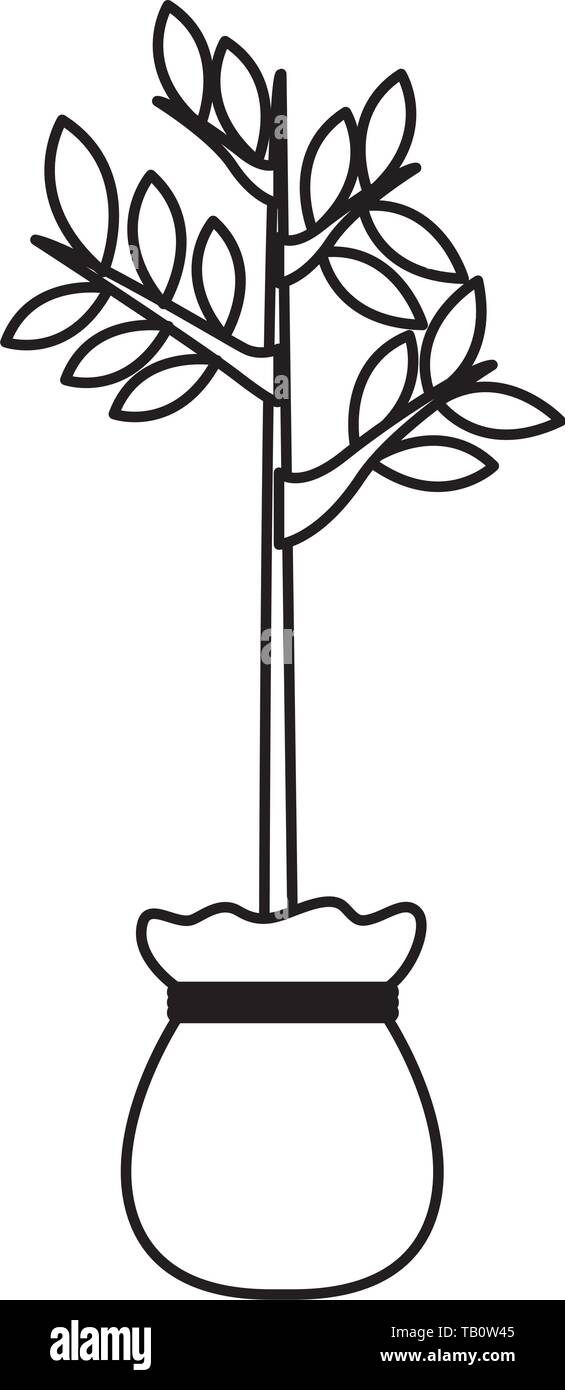 Seedling grown Stock Vector Images - Alamy