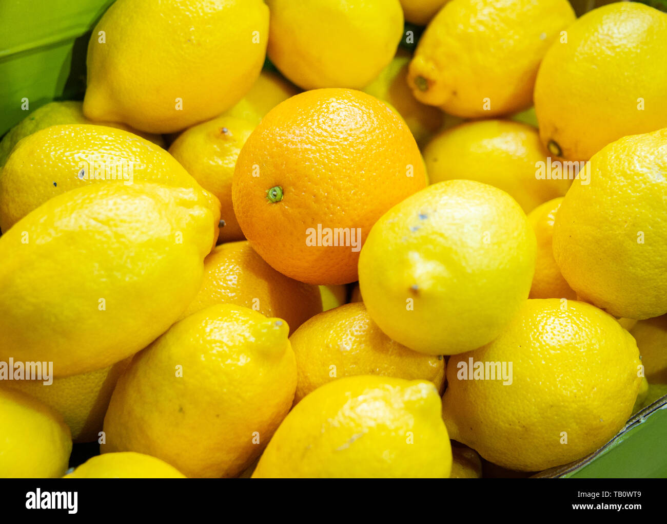 Citrus fruits at the market display stall Stock Photo - Alamy