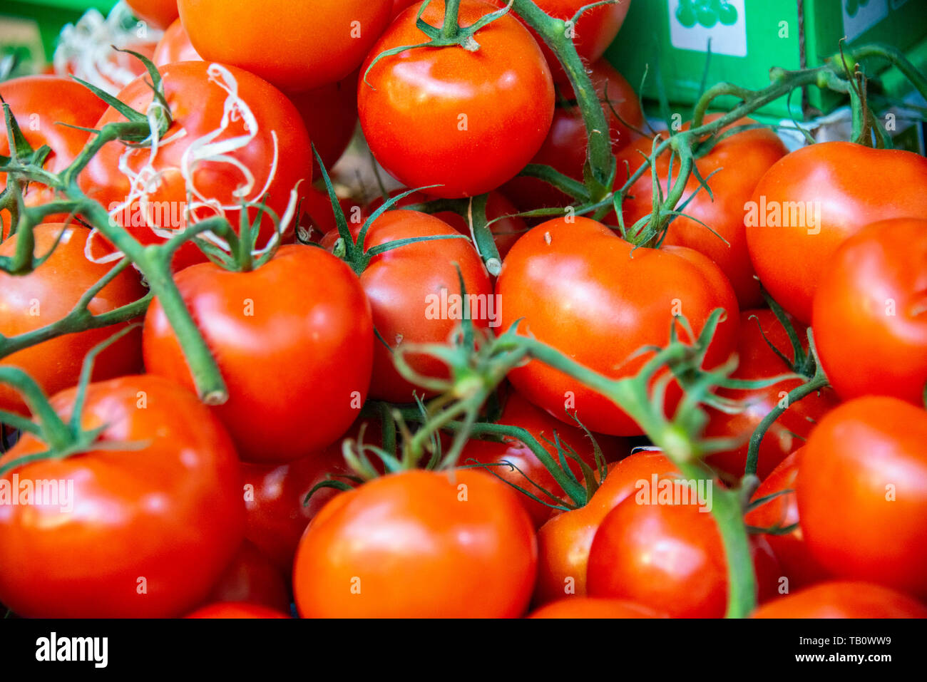 Tomatoes at the market display stall Stock Photo - Alamy