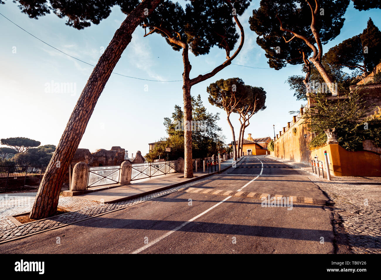 A typical landscape of Rome with tall trees and ancient buildings Stock ...