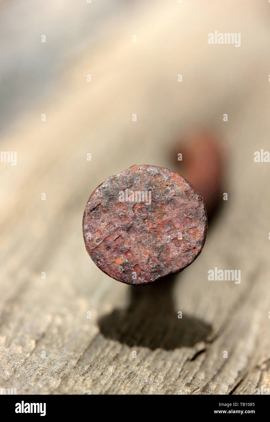 rusty nails and wood texture Stock Photo - Alamy