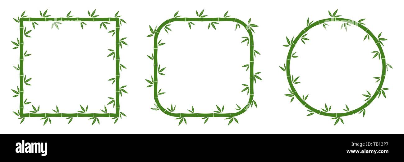 Set of green bamboo frames with leaves. Vector illustration. Bamboo ...