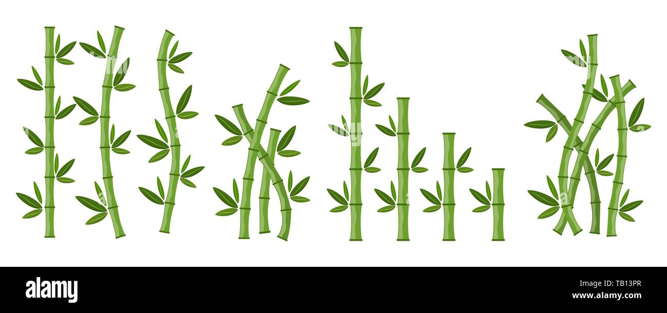 Big set of green bamboo branches and leaves. Vector illustration ...