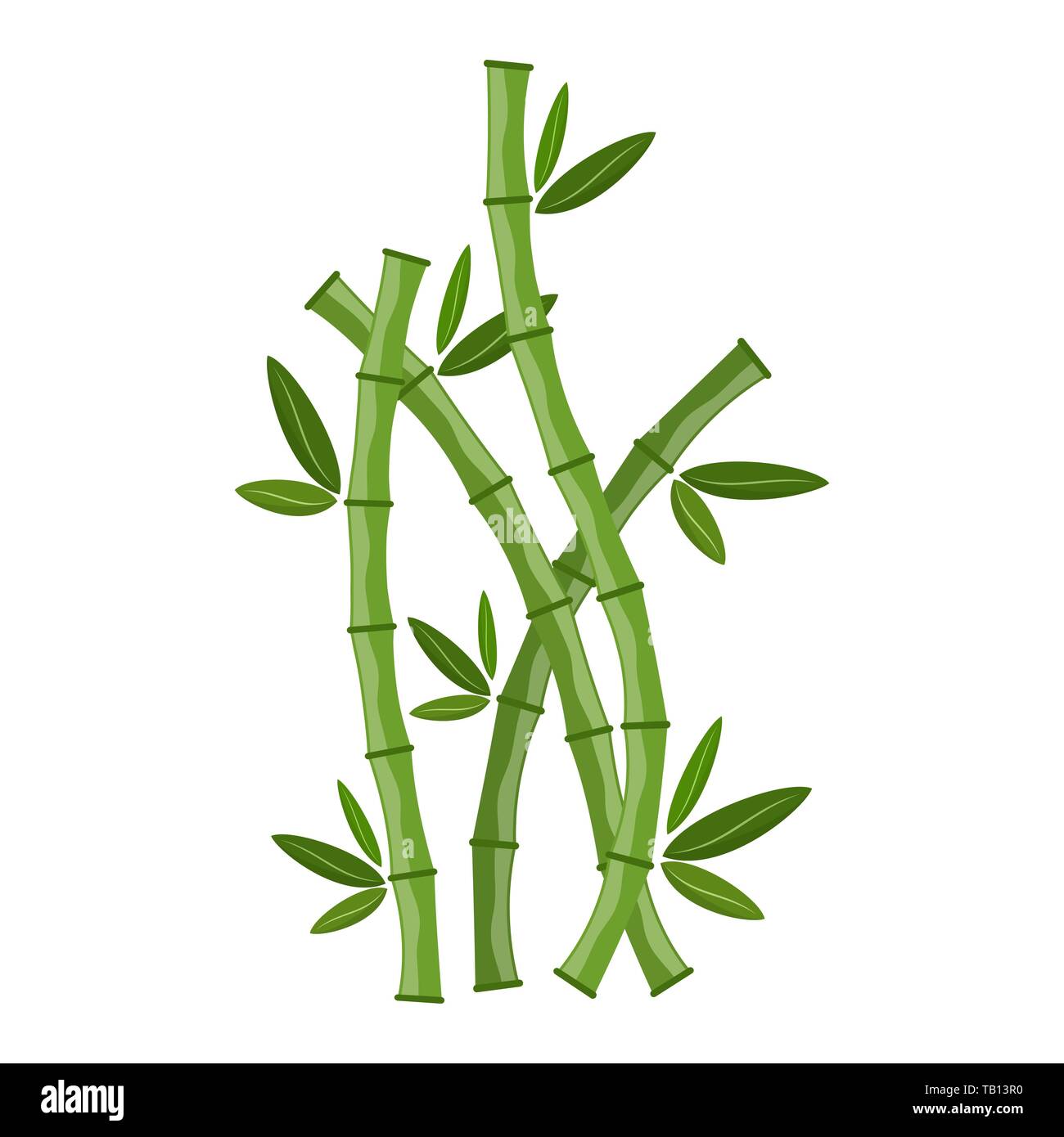 Green bamboo branches and leaves. Vector illustration. Bamboo stems ...
