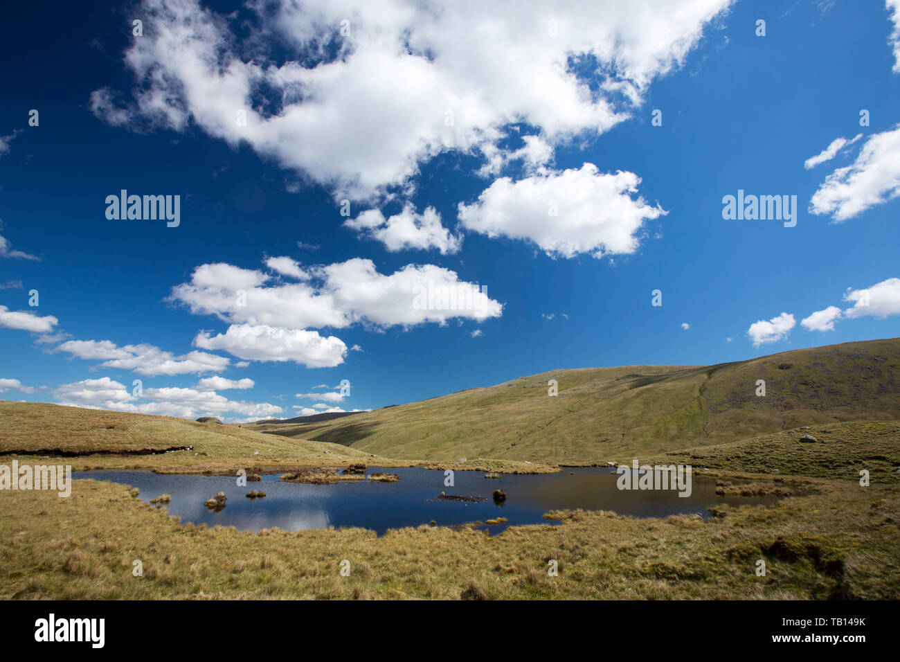 A tarn on Stake Pass, Langdale, Lake District, UK Stock Photo - Alamy