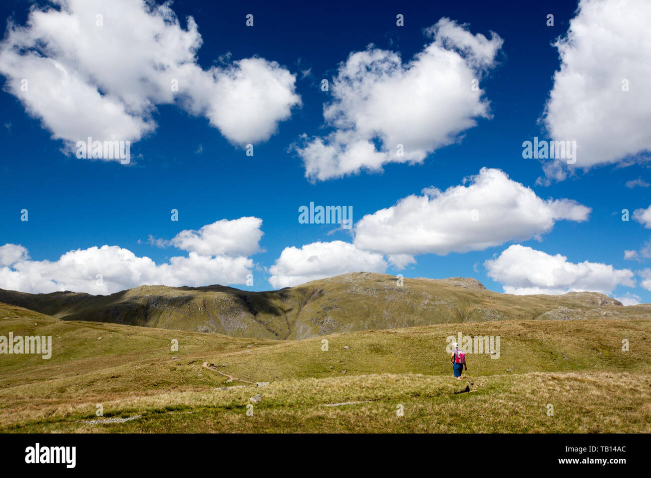 Woman at the stake hi-res stock photography and images - Alamy