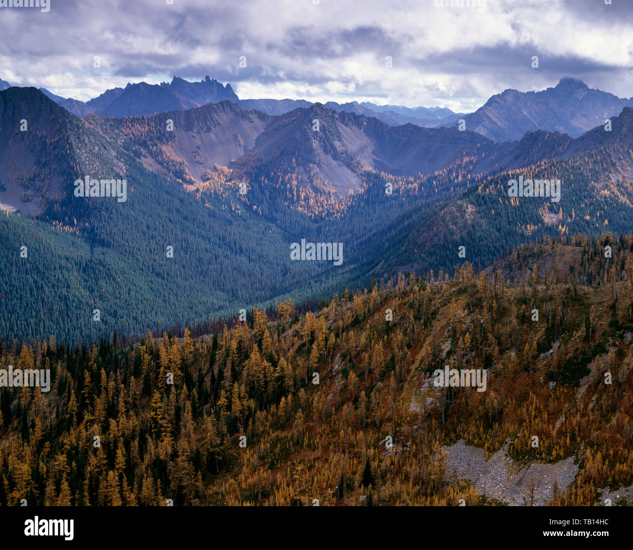 USA, Washington, Okanogan-Wenatchee National Forest, Autumn view south ...