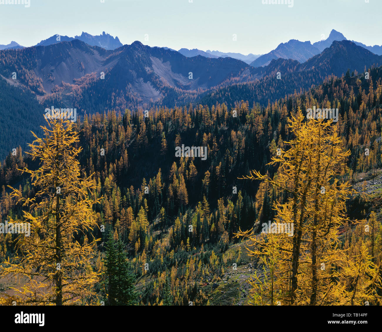 USA, Washington, Okanogan-Wenatchee National Forest, Autumn view south ...