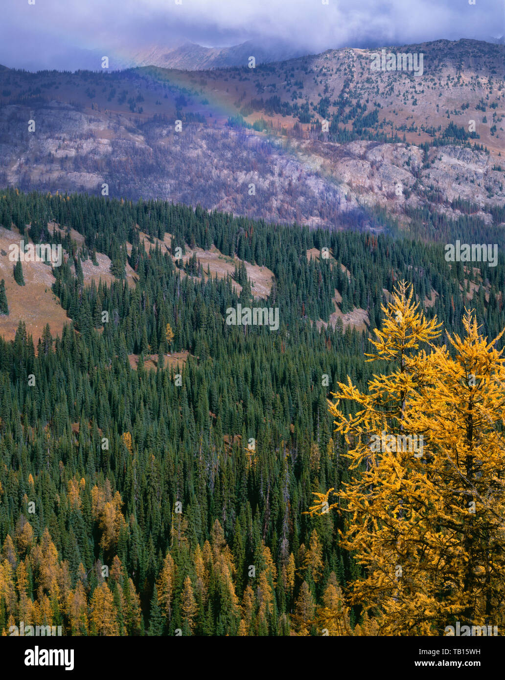 Harts pass washington hi-res stock photography and images - Alamy