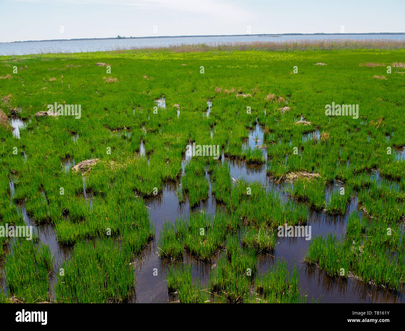 Green landscape pasture lands hi-res stock photography and images - Alamy