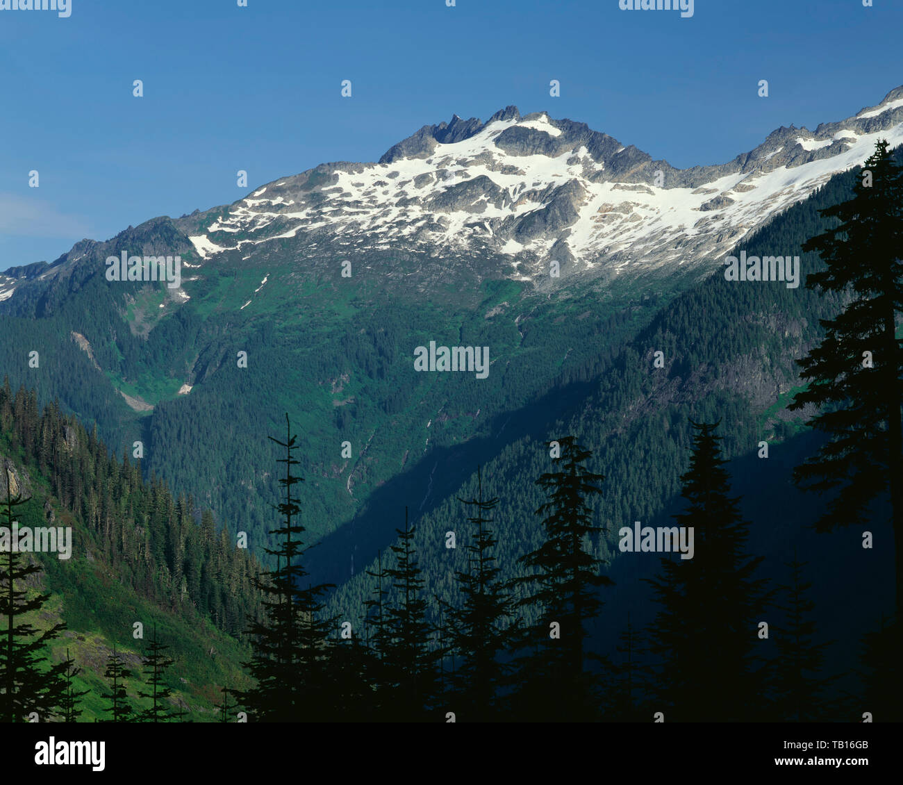 USA, Washington, North Cascades National Park, Forbidden Peak rises ...