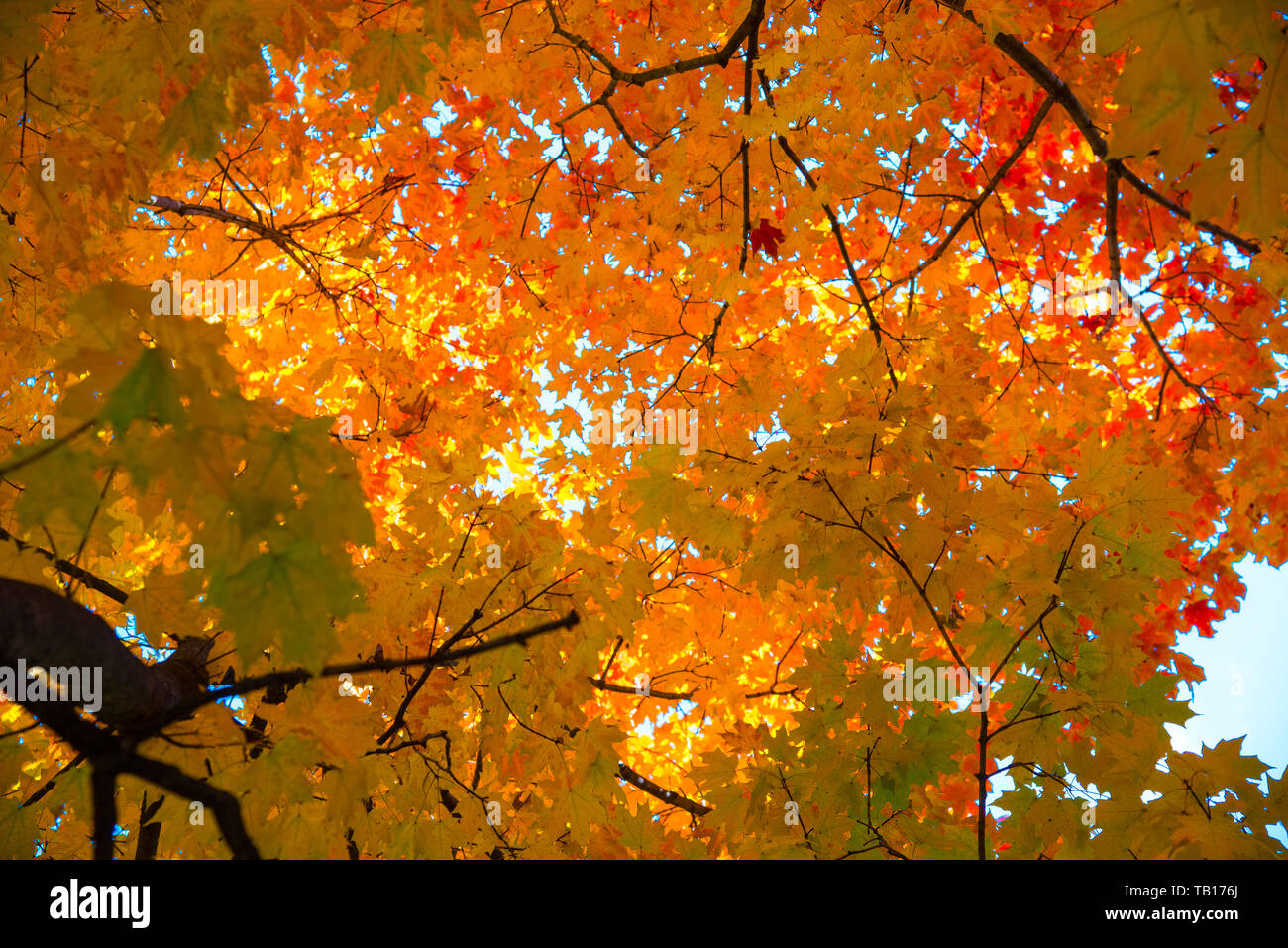 Indiana national park hi-res stock photography and images - Alamy