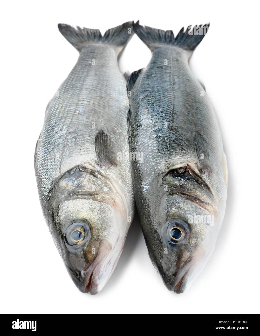 Tasty fresh seabass fish on white background Stock Photo - Alamy