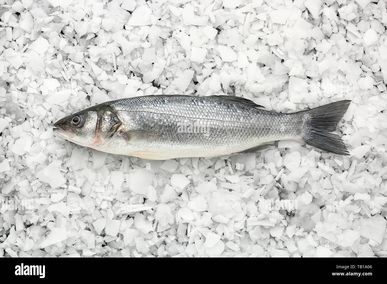 Tasty fresh seabass fish on salt Stock Photo - Alamy