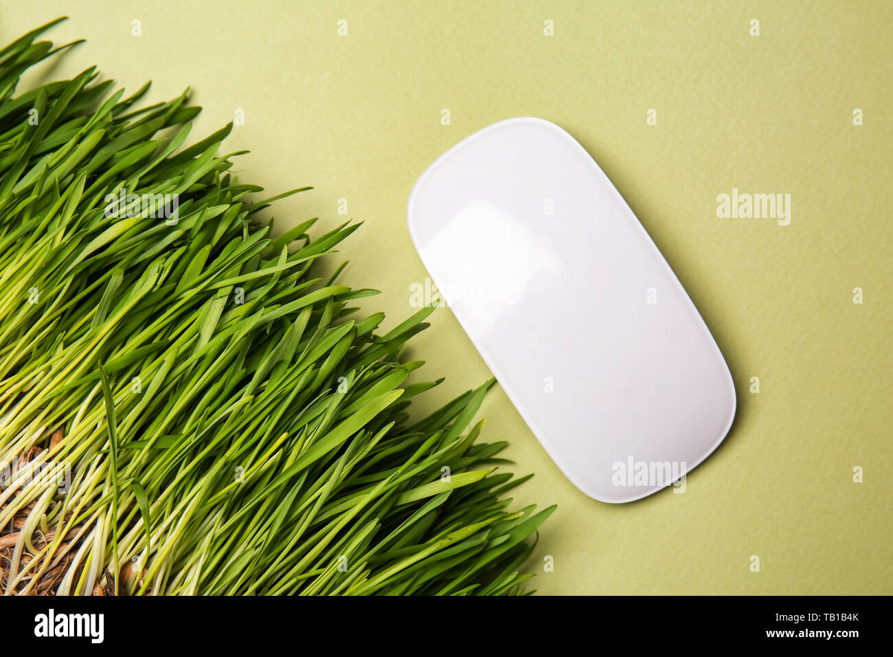 Green computer mouse on grass hi-res stock photography and images - Alamy