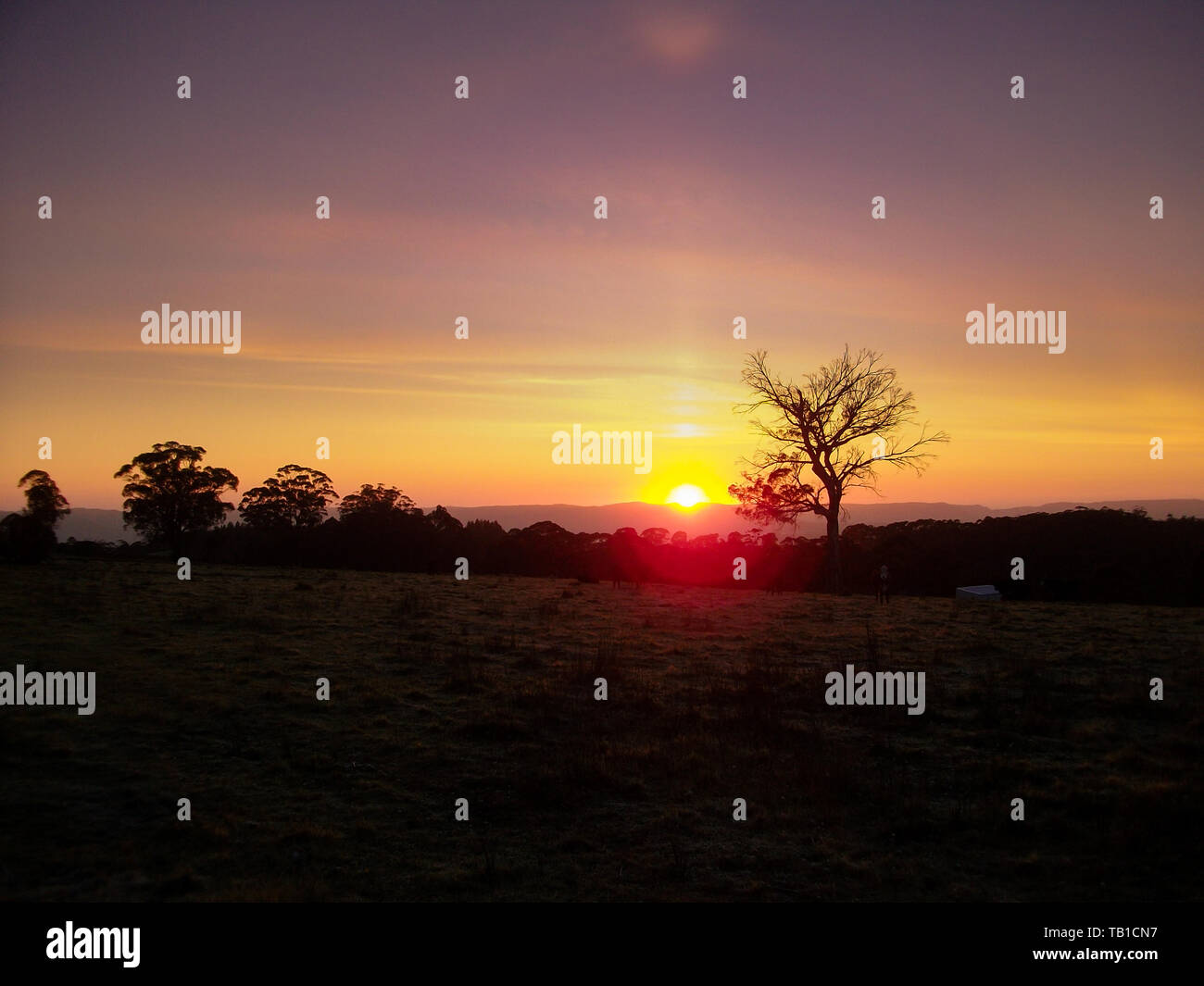 Sunrise over Blue Mountains Valley with trees on ridge line Stock Photo ...